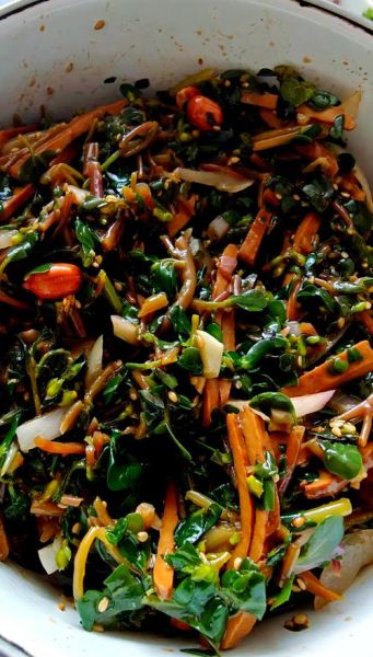 马齿苋怎么做好吃_马齿苋的吃法大全-第1张图片-山城妙识 马齿苋怎么做好吃_马齿苋的吃法大全-第1张图片-山城妙识