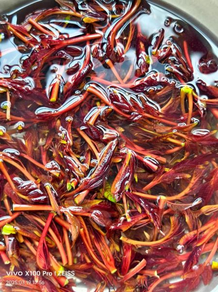 香椿头炒蛋不能和什么一起吃_香椿头炒蛋的禁忌有哪些-第2张图片-山城妙识