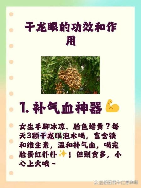 龙眼干的功效与作用_龙眼干的营养价值-第3张图片-山城妙识 龙眼干的功效与作用_龙眼干的营养价值-第3张图片-山城妙识