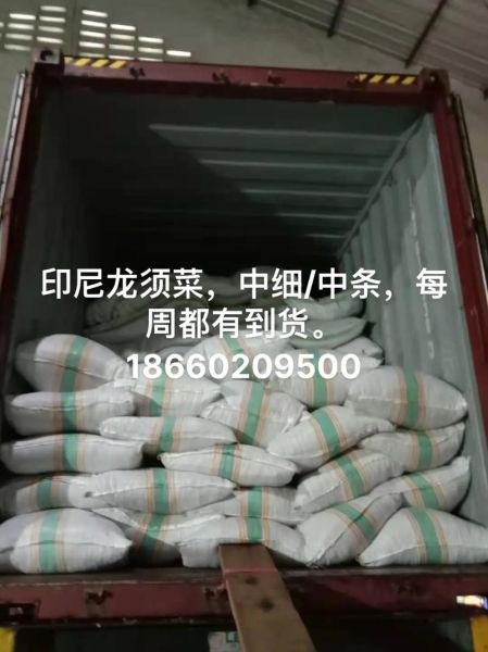 麒麟菜和龙须菜的区别_哪个更好吃-第3张图片-山城妙识