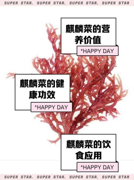 麒麟菜和龙须菜的区别_哪个更好吃-第2张图片-山城妙识