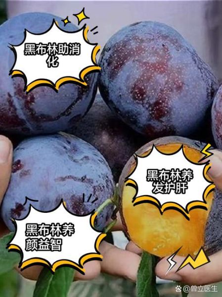黑布林的功效与作用_黑布林的禁忌人群-第1张图片-山城妙识 黑布林的功效与作用_黑布林的禁忌人群-第1张图片-山城妙识