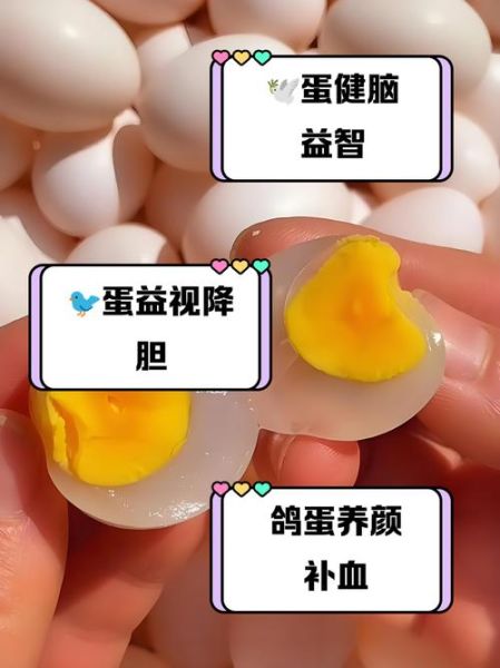 鸽子蛋一天可以吃几个_孕妇能吃吗-第1张图片-山城妙识