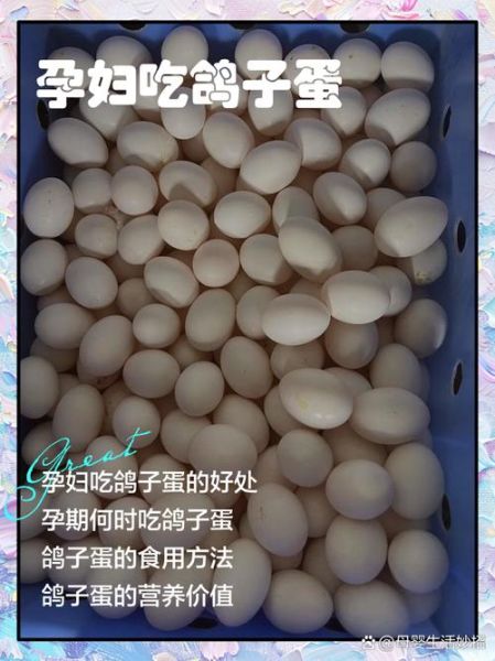 鸽子蛋一天可以吃几个_孕妇能吃吗-第2张图片-山城妙识