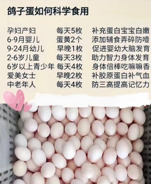 鸽子蛋一天可以吃几个_孕妇能吃吗-第3张图片-山城妙识