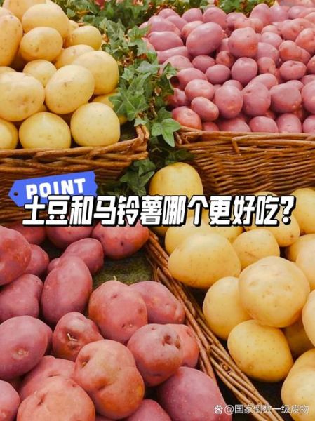 马铃薯和土豆是一个东西吗_区别与营养价值-第3张图片-山城妙识 马铃薯和土豆是一个东西吗_区别与营养价值-第3张图片-山城妙识