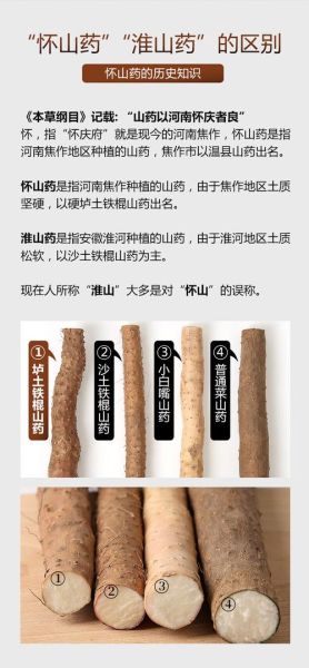 铁棍山药的功效与作用_铁棍山药的营养价值-第1张图片-山城妙识