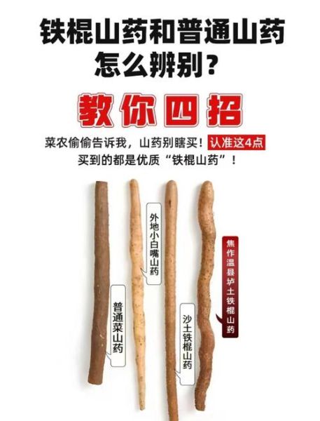 铁棍山药的功效与作用_铁棍山药的营养价值-第2张图片-山城妙识
