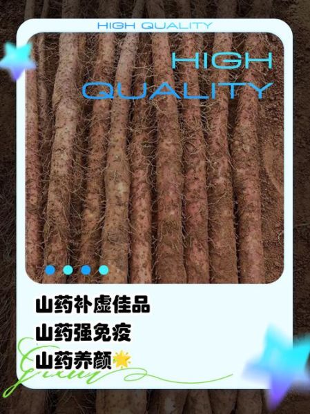 铁棍山药的功效与作用_铁棍山药的营养价值-第3张图片-山城妙识