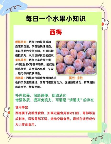 西梅的功效与作用有哪些_西梅的害处是什么-第1张图片-山城妙识 西梅的功效与作用有哪些_西梅的害处是什么-第1张图片-山城妙识