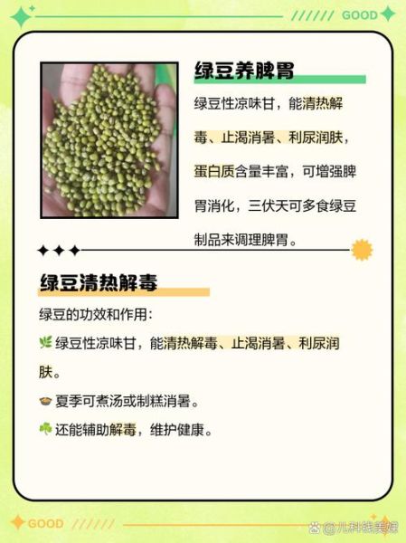 绿豆对西药有解药性吗_吃中药能吃绿豆吗-第3张图片-山城妙识