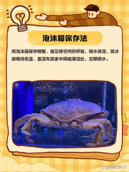 螃蟹放水里养还是干放_活蟹保存方法-第3张图片-山城妙识