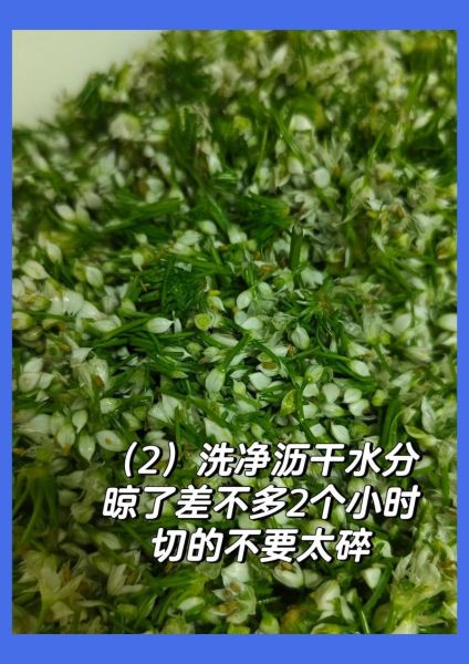 韭菜花怎么腌制好吃_韭菜花腌制方法大全-第2张图片-山城妙识