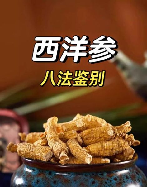 西洋参图片真假鉴别_西洋参功效与作用怎么吃-第2张图片-山城妙识 西洋参图片真假鉴别_西洋参功效与作用怎么吃-第2张图片-山城妙识