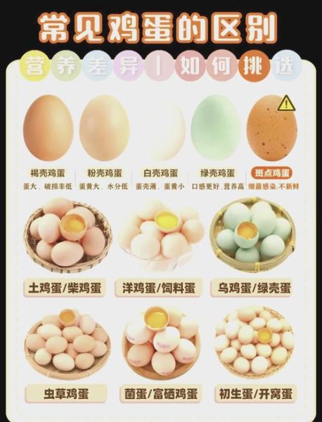 鸡蛋白的营养价值_一天吃几个鸡蛋白最好-第1张图片-山城妙识