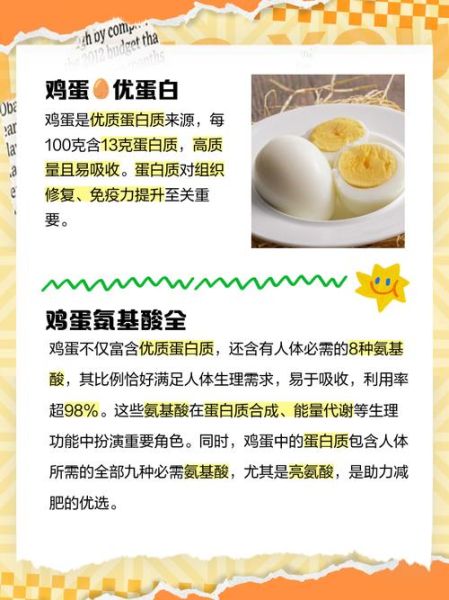 鸡蛋白的营养价值_一天吃几个鸡蛋白最好-第2张图片-山城妙识