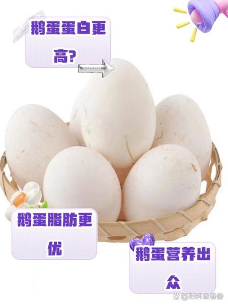 鸡蛋白的营养价值_一天吃几个鸡蛋白最好-第3张图片-山城妙识