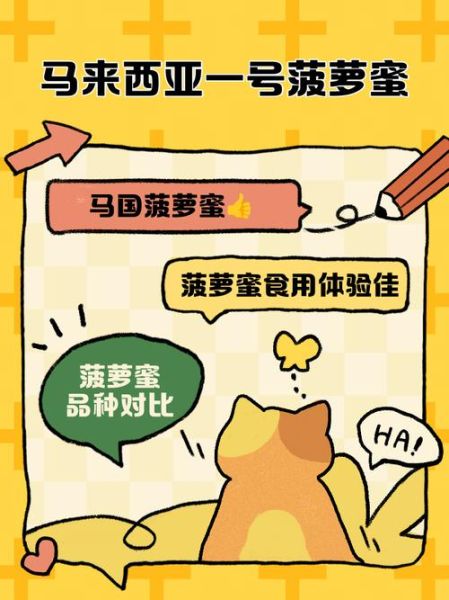 菠萝蜜国际通道一区麻豆是什么_如何安全访问-第1张图片-山城妙识