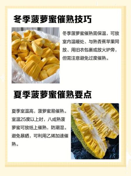 菠萝蜜国际通道一区麻豆是什么_如何安全访问-第2张图片-山城妙识