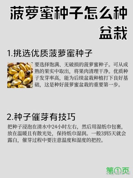 菠萝蜜国际通道一区麻豆是什么_如何安全访问-第3张图片-山城妙识