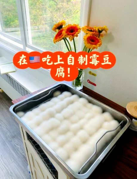 霉豆腐怎么做_霉豆腐的制作方法视频-第1张图片-山城妙识