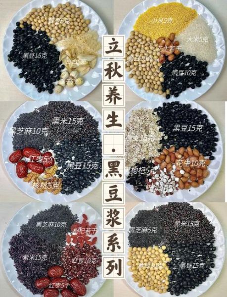 黑豆豆浆的功效与禁忌_哪些人不能喝-第2张图片-山城妙识