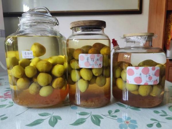 青梅泡酒致癌是真的吗_青梅酒致癌案例解析-第3张图片-山城妙识