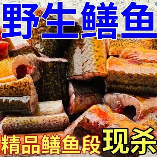 鳝鱼怎么杀_鳝鱼宰杀视频教程-第1张图片-山城妙识