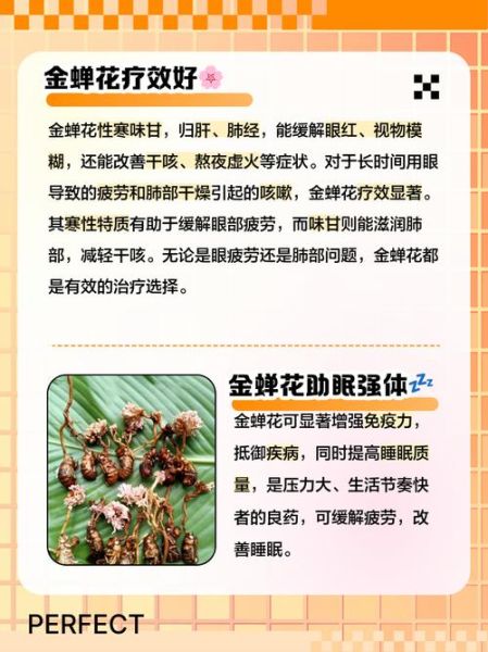 金蝉花怎么吃_金蝉花有什么功效-第3张图片-山城妙识