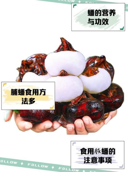 马蹄果怎么吃最好_马蹄果的吃法与禁忌-第1张图片-山城妙识