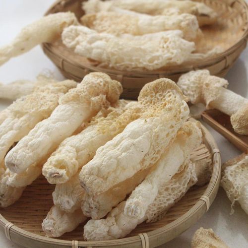 红托竹荪的营养价值_红托竹荪怎么吃最营养-第3张图片-山城妙识 红托竹荪的营养价值_红托竹荪怎么吃最营养-第3张图片-山城妙识