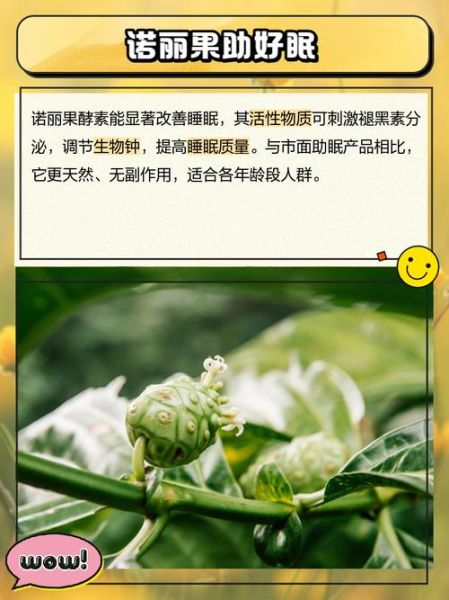 酵素有什么副作用_酵素副作用有哪些-第1张图片-山城妙识