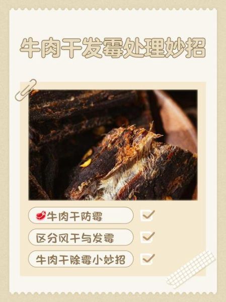风干牛肉干发霉了还能吃吗_如何判断是否变质-第1张图片-山城妙识