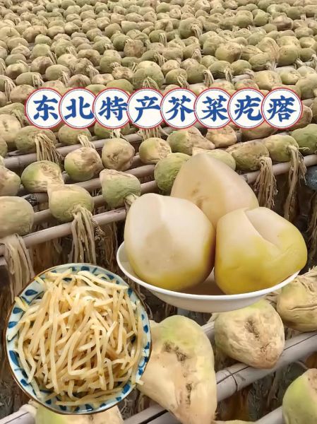 芥菜疙瘩的功效与作用_芥菜疙瘩怎么吃最健康-第3张图片-山城妙识