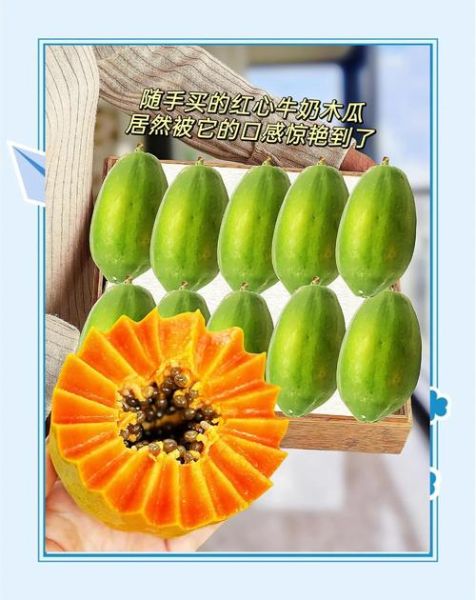 牛奶木瓜能丰胸吗_木瓜丰胸是真的吗-第3张图片-山城妙识