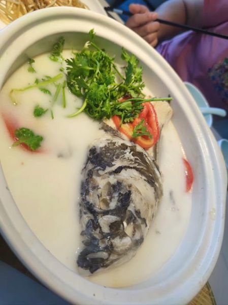 鱼头火锅怎么做_鱼头火锅的家常做法-第2张图片-山城妙识 鱼头火锅怎么做_鱼头火锅的家常做法-第2张图片-山城妙识