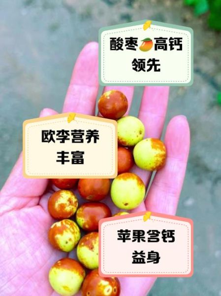 补钙的食物和水果有哪些_哪些水果补钙效果好-第1张图片-山城妙识