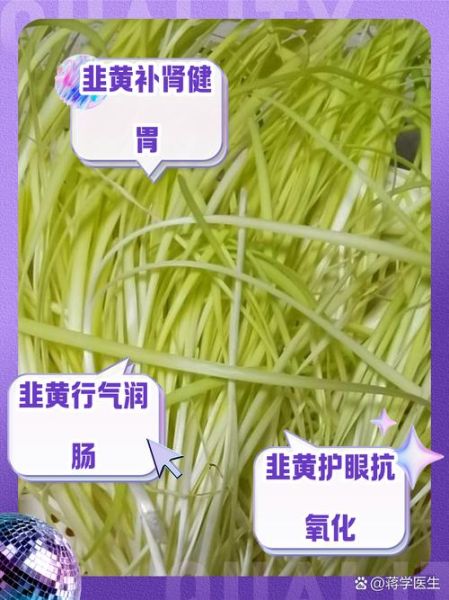 韭黄是什么季节_韭黄几月份最鲜嫩-第2张图片-山城妙识