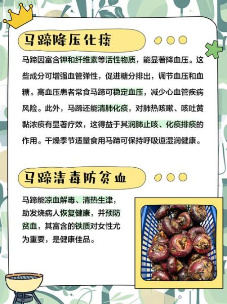 马蹄治什么病_马蹄的功效与作用-第1张图片-山城妙识