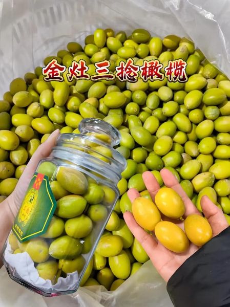 金玉三捻橄榄价格多少钱一斤_金玉三捻橄榄为什么这么贵-第3张图片-山城妙识