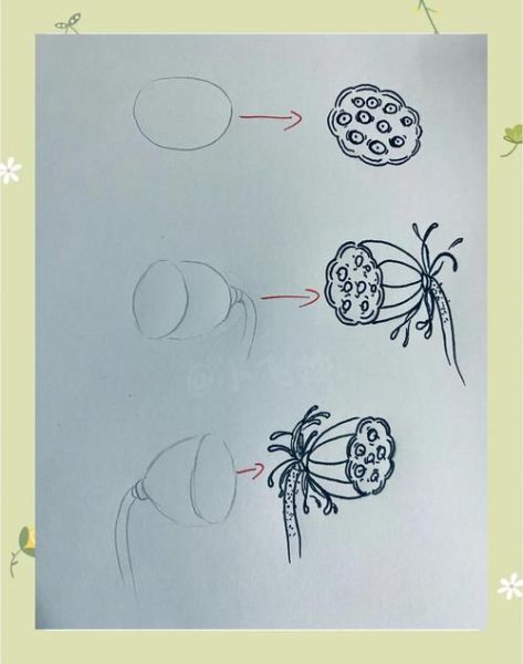 莲蓬简笔画怎么画_莲蓬简笔画步骤图-第1张图片-山城妙识