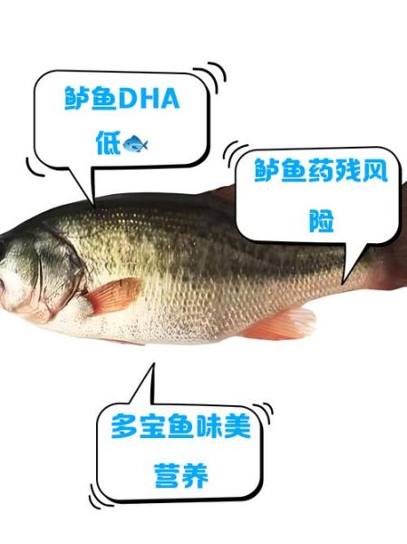 鲈鱼和多宝鱼哪个营养好_鲈鱼和多宝鱼营养价值对比-第1张图片-山城妙识