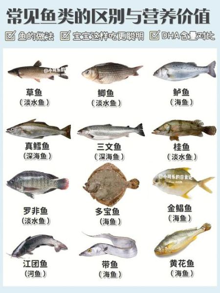 鲈鱼和多宝鱼哪个营养好_鲈鱼和多宝鱼营养价值对比-第3张图片-山城妙识