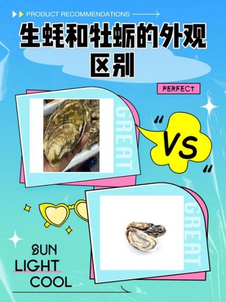 牡蛎和生蚝哪个贵_价格差异全解析-第1张图片-山城妙识