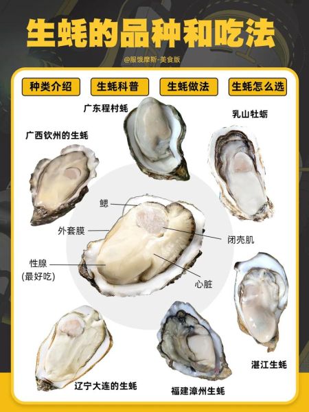 牡蛎和生蚝哪个贵_价格差异全解析-第2张图片-山城妙识