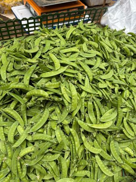 豌豆荚官网下载安全吗_豌豆荚怎么安装到手机-第1张图片-山城妙识 豌豆荚官网下载安全吗_豌豆荚怎么安装到手机-第1张图片-山城妙识