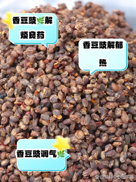 豆豉怎么读_豆豉的功效与作用-第2张图片-山城妙识