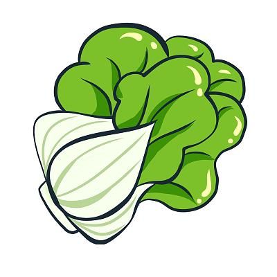 青菜卡通图片怎么画_青菜卡通图片素材哪里找-第2张图片-山城妙识