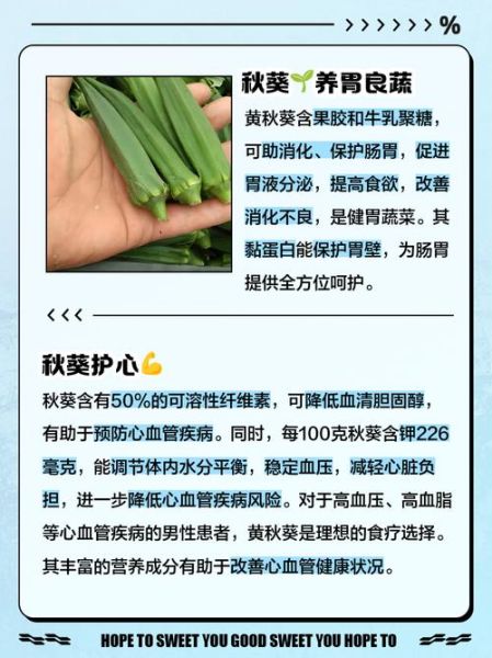 黄秋葵可以生吃吗_生吃黄秋葵安全吗-第2张图片-山城妙识