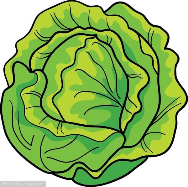 青菜卡通图片怎么画_青菜卡通图片素材哪里找-第3张图片-山城妙识